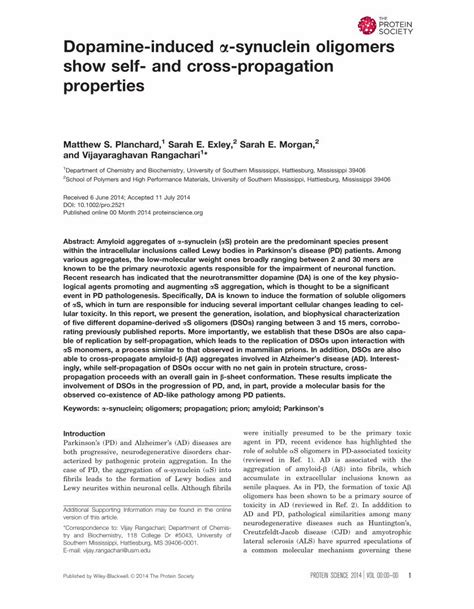Pdf Dopamine Induced α Synuclein Oligomers Show Self And Cross