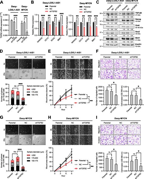Loxl1 As1 Contributes To Metastasis In Sonic Hedgehog Medulloblastoma By Promoting Cancer Stem