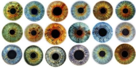Augenfarbe Bedeutung Die Eigene Persönlichkeit Neu Erkennen