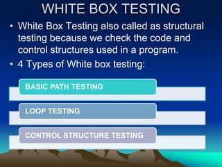 Presentation Testing Pptx
