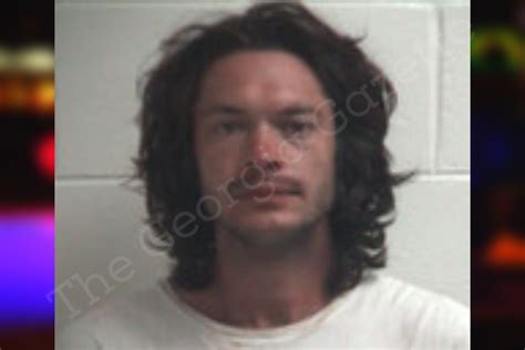 Chesley Shelnutt — Henry County Jail Bookings