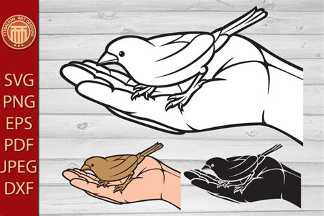 Bird In Hand Eps Dxf Svg Pdf Png Files
