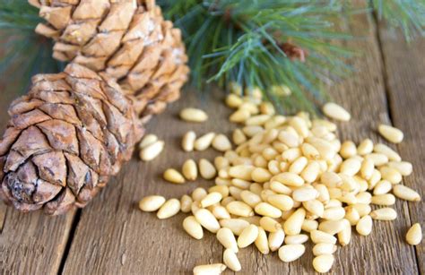 Кедровые орехи при беременности польза и вред на ранних и поздних сроках