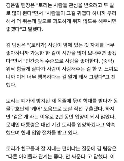 토리 근황이야기 인스티즈instiz 이슈 카테고리