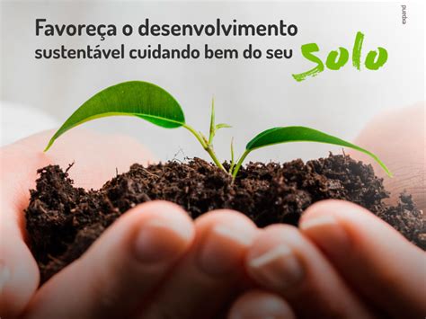 Cuidar bem do solo é contribuir um mundo mais sustentável AMPAR