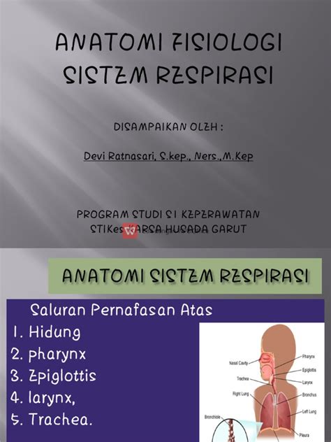 Anfis Sistem Respirasi Pdf