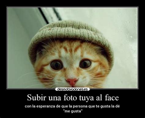 Subir Una Foto Tuya Al Face Desmotivaciones