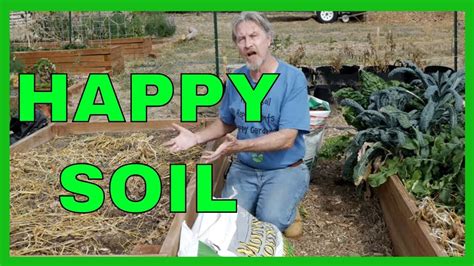 How To Amend Raised Garden Beds Raised Garden Beds Raised Garden