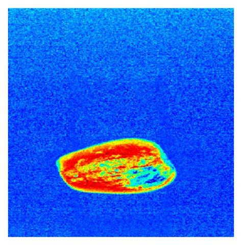 CIE L A B A Component Transform Results A Original Image