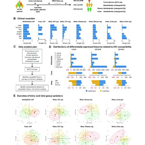 Multi Omics Factor Analysis Mofa Mofa Captured 11 Latent Factors Download Scientific