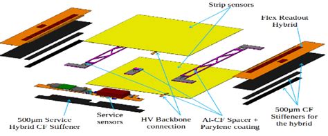 A Red Bars Are Position Of Strip Strip 2s Modules Within One Download Scientific Diagram