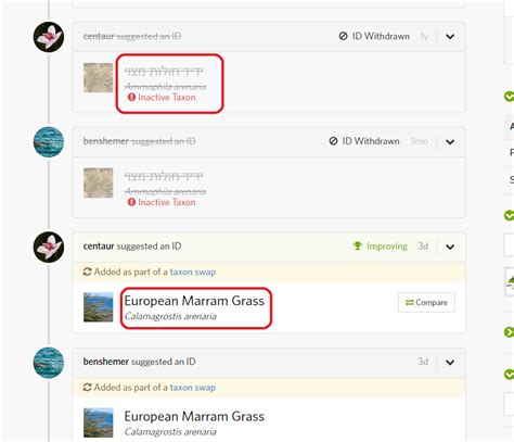 Taxon Swap Does Not Transfer Common Name Place Settings Bug Reports