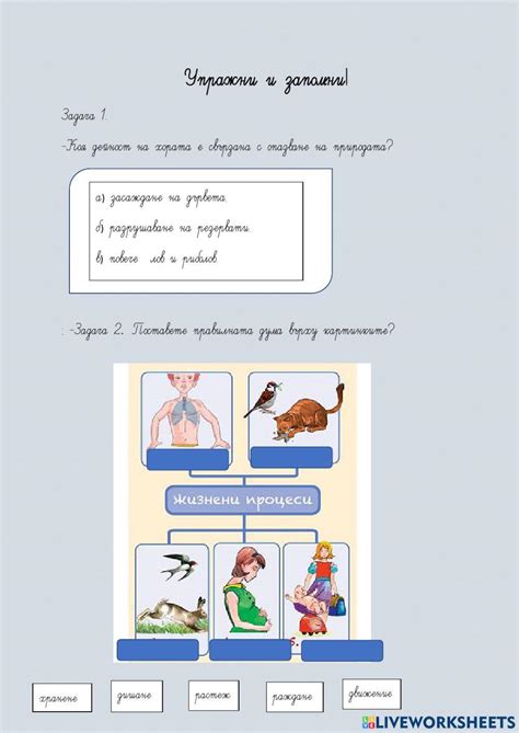 Организми и тяхната среда на живот Online Exercise For Live Worksheets