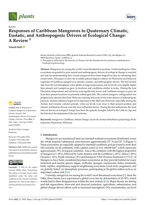 Pdf Responses Of Caribbean Mangroves To Quaternary Climatic Eustatic