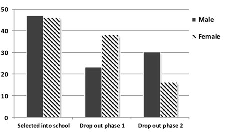 Relative Percentage Among Female And Male Participants Who Were