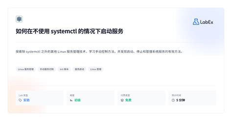 如何在不使用 Systemctl 的情况下启动服务 Labex