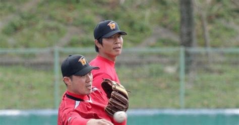 박진만 Sk 주전 유격수 굳히기