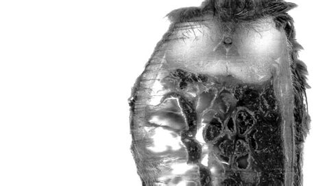 Body Locus Points Scanning New Worlds