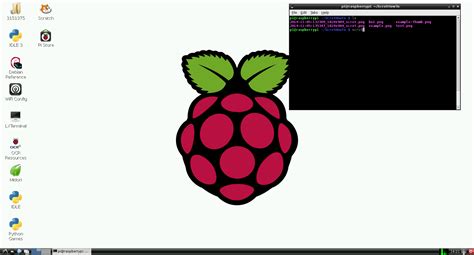 Raspberry Pi Screenshots Trybotics