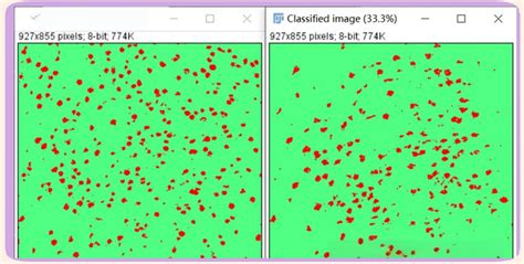 Imagej｜荧光共标细胞计数方法详解
