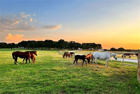 Texas Land Pricing Guide 2025 Texas Farm Credit