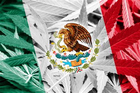 Avanza En México La Legalización De La Marihuana Recreativa