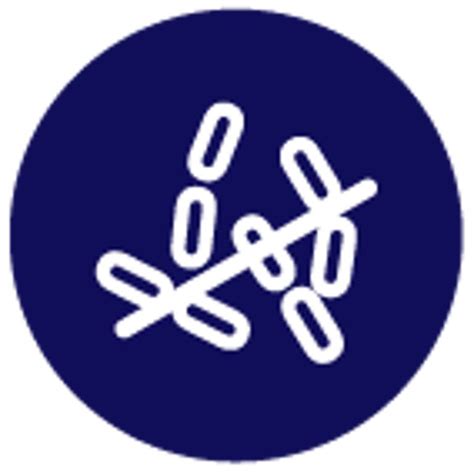 Mthf Supplements For Healthy Methylation Bioceuticals
