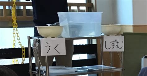 食育】野菜の浮く・沈む（幼児）を調べよう！ アソシエブログ