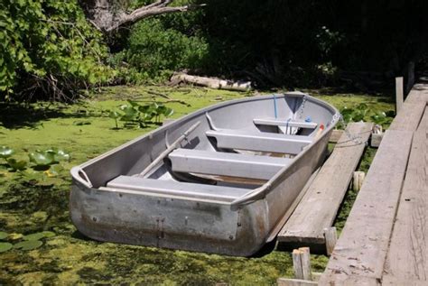 Understanding The Dangers Of Blue Green Algae Health Detox Vitamins