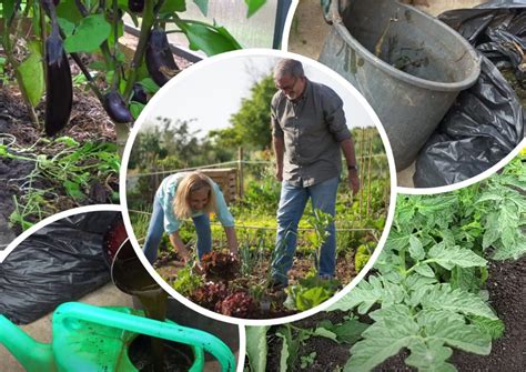 Садівники пояснили чого не варто робити в городі в липні Читайте на Ukr Net