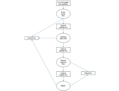 overview of the filtering strategy download scientific diagram