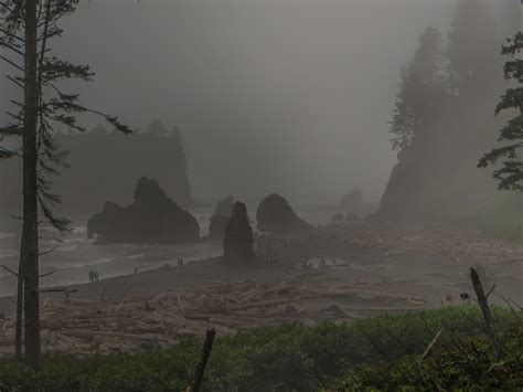Into The Mist At Ruby Beach On Behance