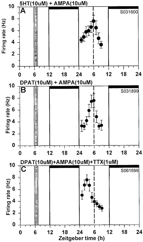 Ampa Blocks Serotonergic Phase Advances Of The Scn Neuronal Activity