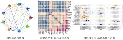 单细胞测序数据个性化分析方法有哪些 百迈客生物