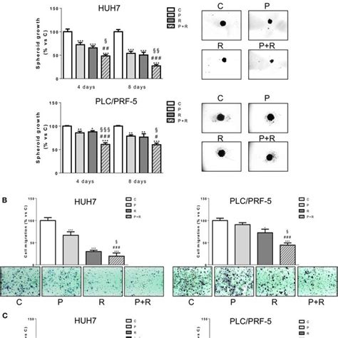 Palbociclib Combined With Regorafenib Inhibits 3d Cell Growth And