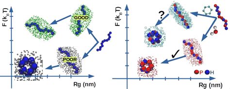 Solvent Quality And Solvent Polarity In Polypeptides Eutopia