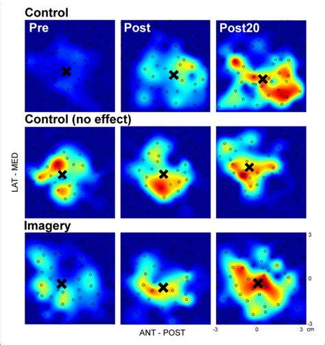 Tms Maps Before And After Mirror Training For Representative
