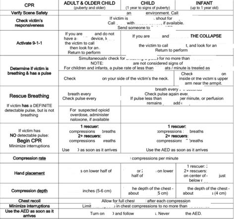 Cpr Diagram Quizlet