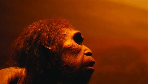Neanderthals Could Have Survived In Scandinavia