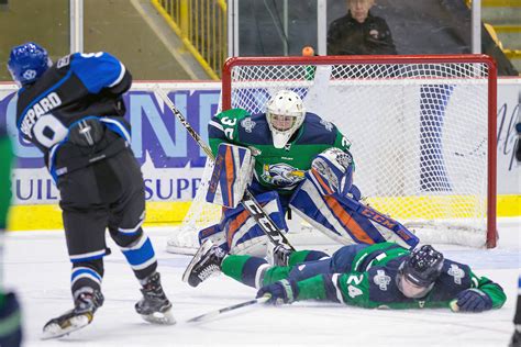 Eagles Outplay Vipers SportsWave Broadcasting