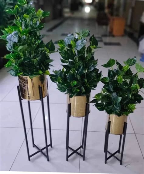 High Class Planter Set Of 3 With Arrangement Smart Bazaar
