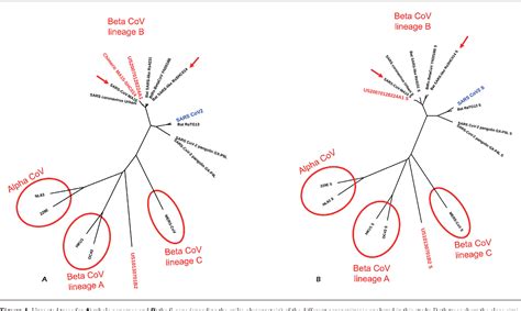 Figure 1 From Bioinformatic Analysis Indicates That Sars Cov 2 Is