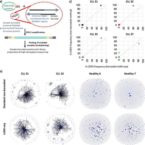 Bcr Repertoire Sequencing By Sumi Seq Pcr A Schematic Diagram Of