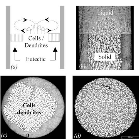 A Sketch Of Fluid Flow Driven By The Radial Thermal Gradient And Its