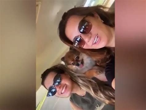 Veja os últimos momentos da família que morreu em queda de avião no PR destino era Guaratuba
