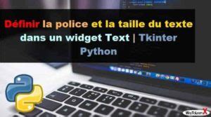 Comment Rendre Le Widget Text En Lecture Seule Tkinter Python