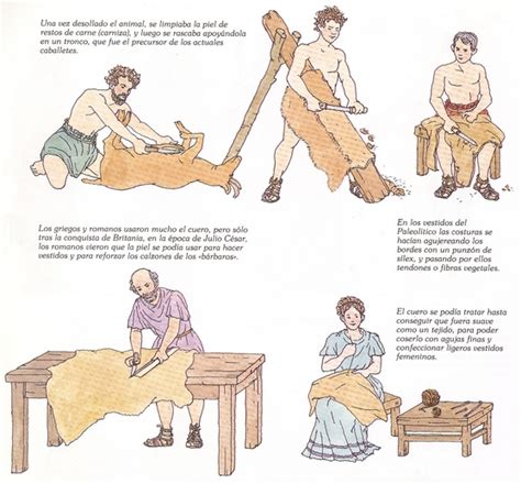 Curtido Pieles Dibujos