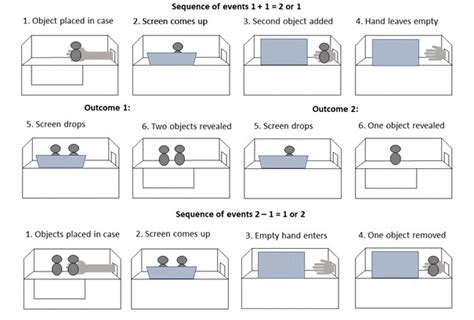The Cognitive Foundations And Epistemology Of Arithmetic And Geometry Internet Encyclopedia Of