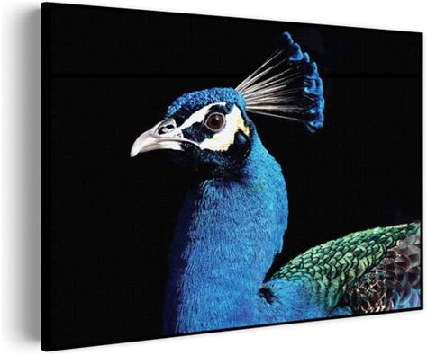 Tableau Acoustique De Pauw Rectangle Horizontal Pro Xl 120 X 86 Cm