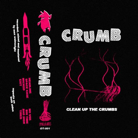 Crumb Clean Up The Crumbs Cassette Sorry State Records